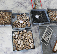 LAB TESTING AND MONITORING